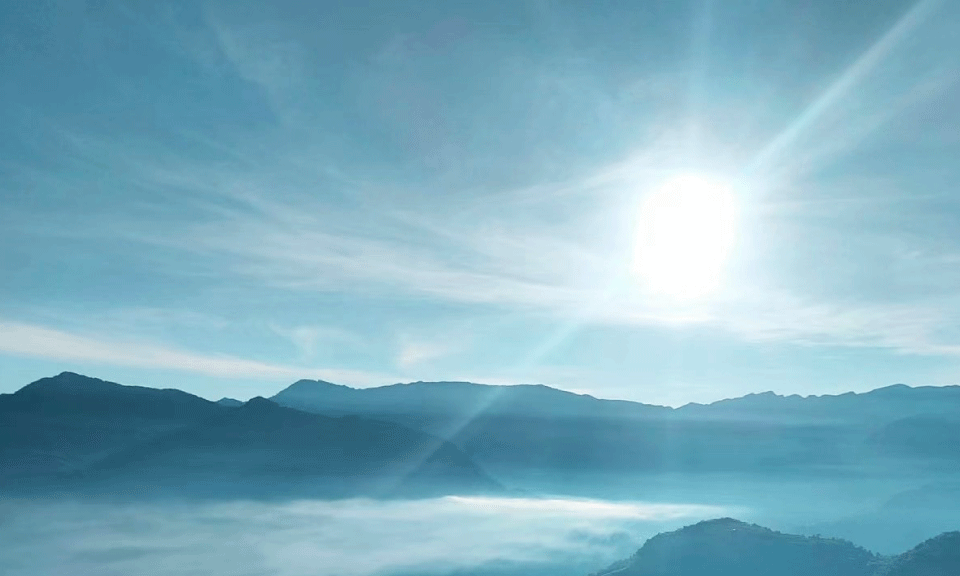 CHAYAN-TEA 茶納雅言